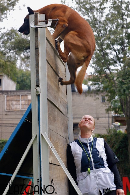 About - Canadian Ringsport Association