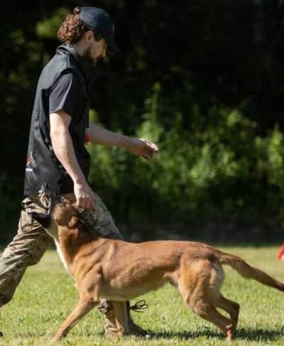 Board of Directors - Canadian Ringsport Association